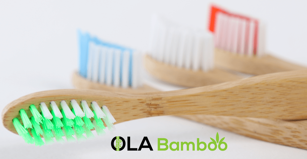 OLA Bamboo